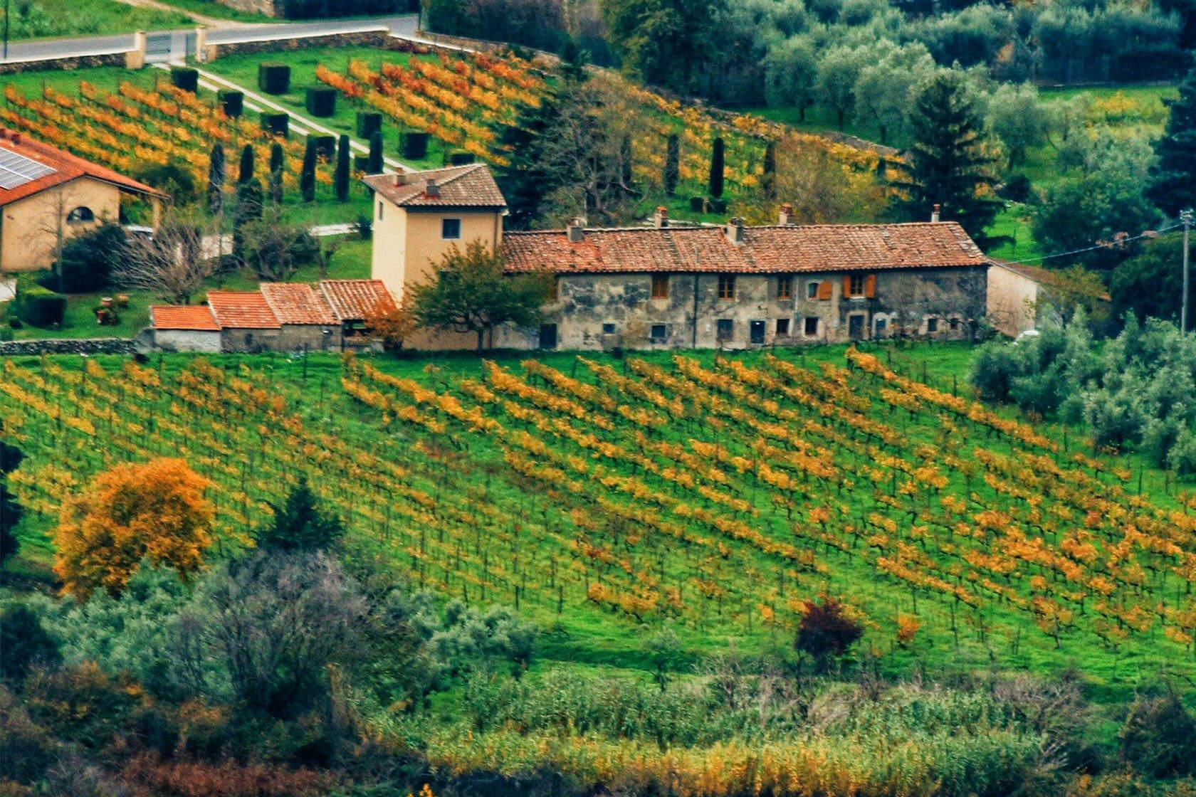 Degustazione Con Light Meal Vinis it degustazione-con-light-meal-vinis-it